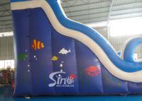 China Double Lanes Inflatable Dolphin Water Slide with Pool EN14960 for Adults and Kids 610g PVC for sale