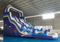 China Double Lanes Inflatable Dolphin Water Slide with Pool EN14960 for Adults and Kids 610g PVC for sale