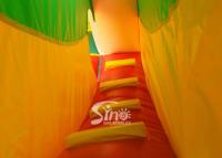 China Custom Outdoor Inflatable Combo Castle with Slide 5.2m x 5.0m x 4.0m Lead Free PVC for sale