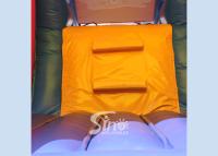 China Princess Carriage Inflatable Bouncy Castle Slide 25x13ft Lead Free Material Kids Party for sale