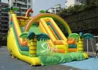 China Outdoor Giant Tropical Rain Forest Inflatable Slide 10m x 5m x 6.5m for Kids and Adults for sale