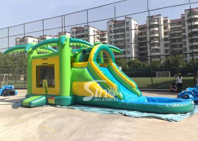 China Big Outdoor Jungle Inflatable Boune Slide Combo with Water Pool and Palm Tree for sale