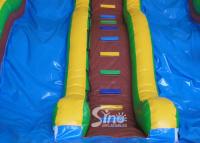 China Commercial 25ft High Tropical Inflatable Water Slide with Double Pool 10m x 5.5m for sale
