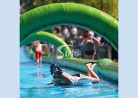 China Custom Commercial Inflatable Water Slide 300L x 5.0W for Outdoor Summer Fun for sale