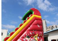 China Custom 8m High Inflatable Pirate Water Slide with Digital Printing for Commercial Use for sale