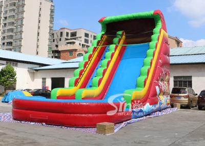 China Custom 8m High Inflatable Pirate Water Slide with Digital Printing for Commercial Use for sale