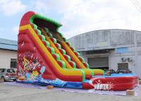 China Custom 8m High Inflatable Pirate Water Slide with Digital Printing for Commercial Use for sale