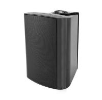 China 2 way pa speaker 5