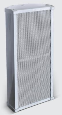 China 5” Two Way 10W IP POE Powered Outdoor Column Speaker for sale