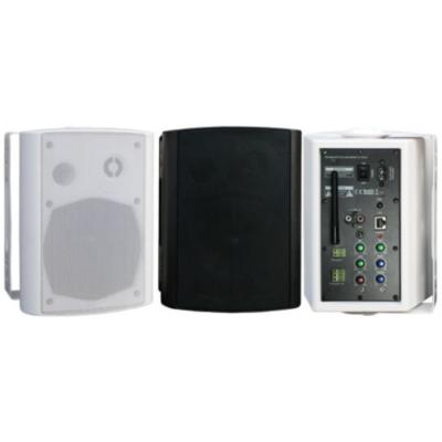 China Wall Mounted Bluetooth Speakers PA System Speakers 30W ISO9001 for sale