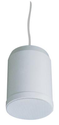 China 10W 20W Indoor Hanging Pendant Speaker PA System for sale