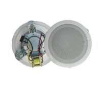 China ceiling Speaker  4