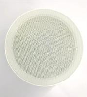 China ceiling Speaker  4