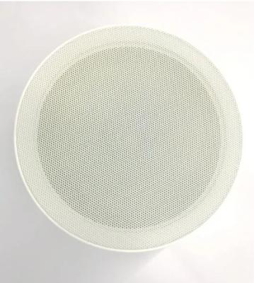 China ceiling Speaker  4