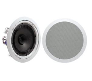 China Ceiling Speaker 6