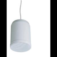 China professional pa system Sound System PA Audio System Indoor Pendant Speaker for sale