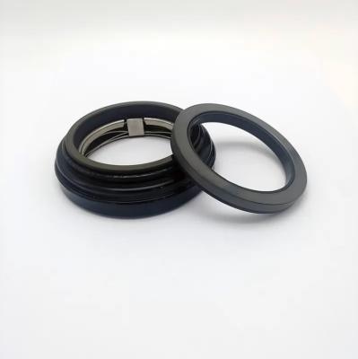 China Mechanical Seal GCS For GW85-130-20 AXIAL SEAL And MATTER IN85 85-130-20mm CAR/SIC/EPDM for sale