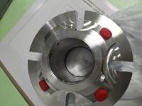 China Aesseal CURC CRCO CURE Single Cartridge Mechanical Seal  For Ahlstrom APP/APT Pump SIC/SIC/FKM for sale