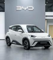 China 405km Flying Pure Electric BYD Seagull Sedan EV Customized for sale
