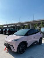 China BYD Seagull 405km Electric Car 55kW Motor 5 Door 4 Seat New Energy SUV for sale