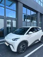 China BYD Seagull 405km Electric Car 55kW Motor 5 Door 4 Seat New Energy SUV for sale