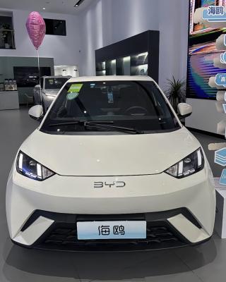 China BYD Seagull 2025 Electric Car 405km Range 5-Door Small Family SUV New Energy Vehicle for sale