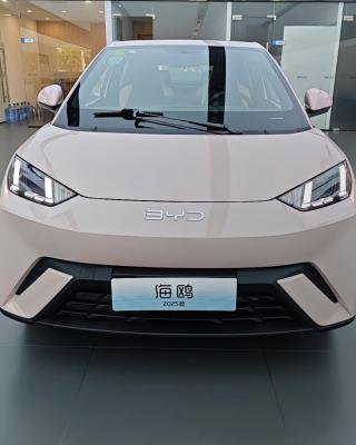China BYD Seagull 2025 405km Electric Car Pure EV 55kW 5-Door Small Family SUV for sale