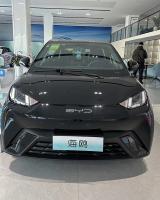China BYD Seagull 2025 405km Electric Car Pure EV 55kW 5-Door Small Family SUV for sale
