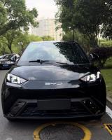 China BYD Seagull 2025 405km Flying Edition Pure Electric Small Family Sedan 55kW for sale