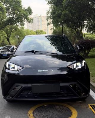 China BYD Seagull 2025 405km Flying Edition Pure Electric Small Family Sedan 55kW for sale