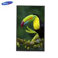 China Vibrant Visuals LCD Display Module 16.7M 10.1 TFT LCD Monitor for sale
