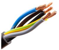 China 2 Core Silicone Rubber Insulated Cable 600V Tinned Copper for sale
