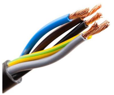 China 2 Core Silicone Rubber Insulated Cable 600V Tinned Copper for sale