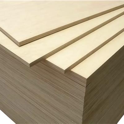 China Moisture Proof Plywood Foam Core Panels Heat  Resistant 10mm Ply Board for sale