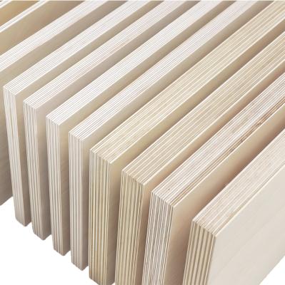 China 1000kg Capacity Thin Ply Wood 5 Ply Heavy Duty Plywood Insulation Board for sale