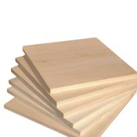China Furniture Decoration Outdoor Plywood Sheets Plywood 9mm 2440x1220mm for sale