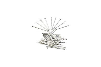 China Ring Patterned Steel Coil Nails Framing Roofing Stainless Steel Ring Shank Nails for sale