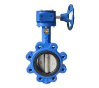 China Ductile Iron Lug Type Butterfly Valve Gearbox / Lever Operation for sale
