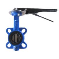 China Ductile Iron Butterfly Valve Lever Operation Wafer Type for sale