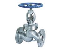 China OEM / ODM J41W-16P Globe Valve DN15 - DN300 304 Stainless Steel for sale