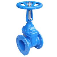 China Rising Stem Resilient Wedge Gate Valve DN50-DN300 Red/Blue OEM for sale