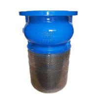 China OEM Ductile Iron Foot Check Valve For Water Pump for sale