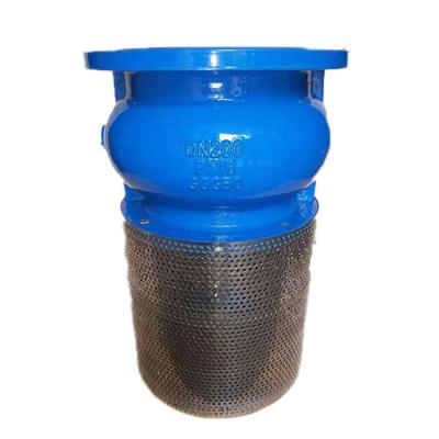 China OEM Ductile Iron Foot Check Valve For Water Pump for sale