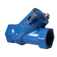 China Small Threaded Sewage Check Valve 2 Inch Ductile Iron for sale