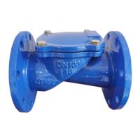 China BS5153 Rubber Seated Flapper Water Check Valve for sale