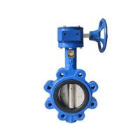China 10 Inch Lug DI Butterfly Valve PN10 / PN16 For Water Treatment Plant for sale