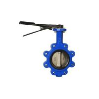 China 10 Inch Lug DI Butterfly Valve PN10 / PN16 For Water Treatment Plant for sale
