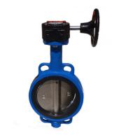 China OEM Wafer Butterfly Gate Valve Ductile Iron 8