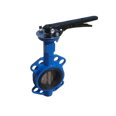 China Wafer Type Flanged 4
