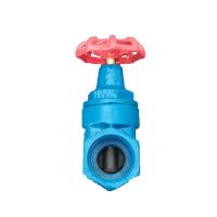 China OEM Small Resilient Seal Water Gate Valves For Drinking Water Supply for sale
